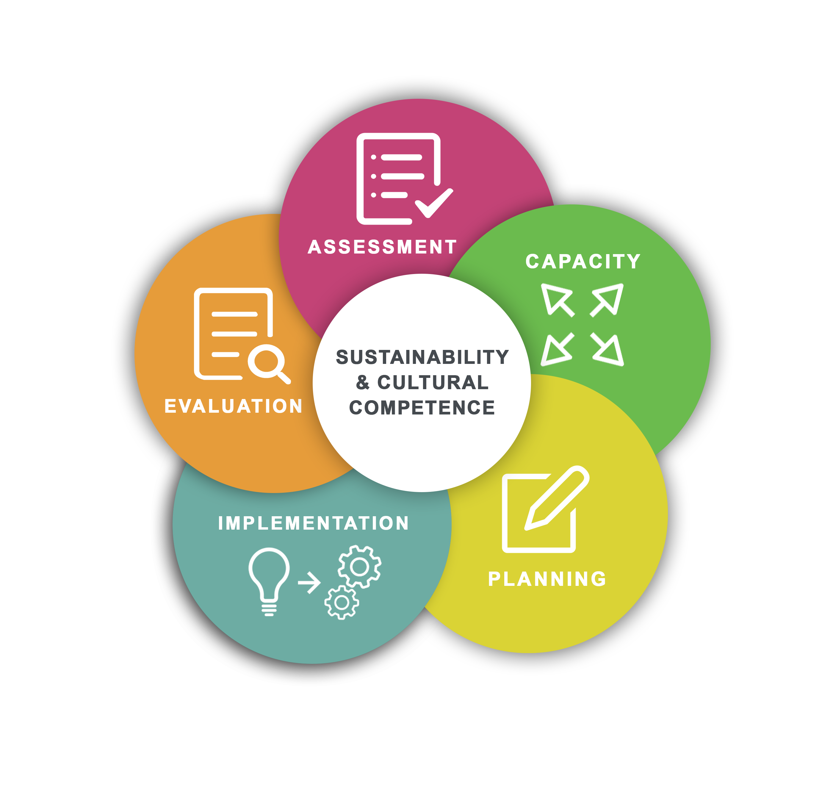 Sustainability & Cultural Competence Visual | Region 6